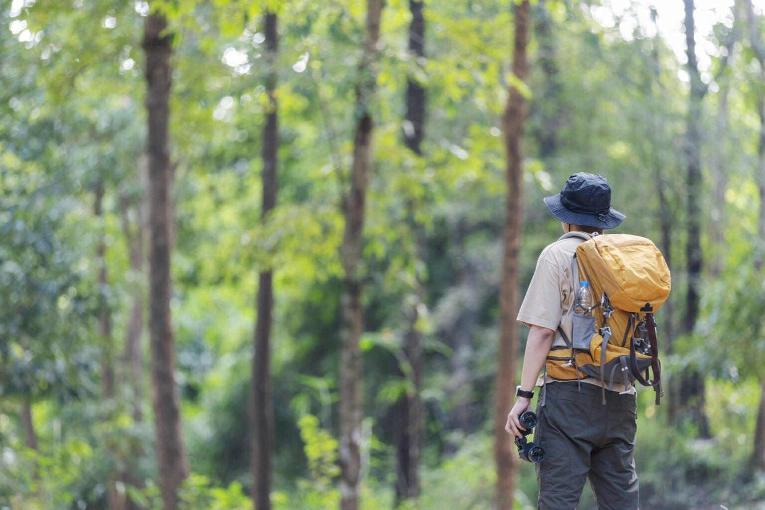 Explore Artemis Hiking Route: One of Cyprus' Best Hikes